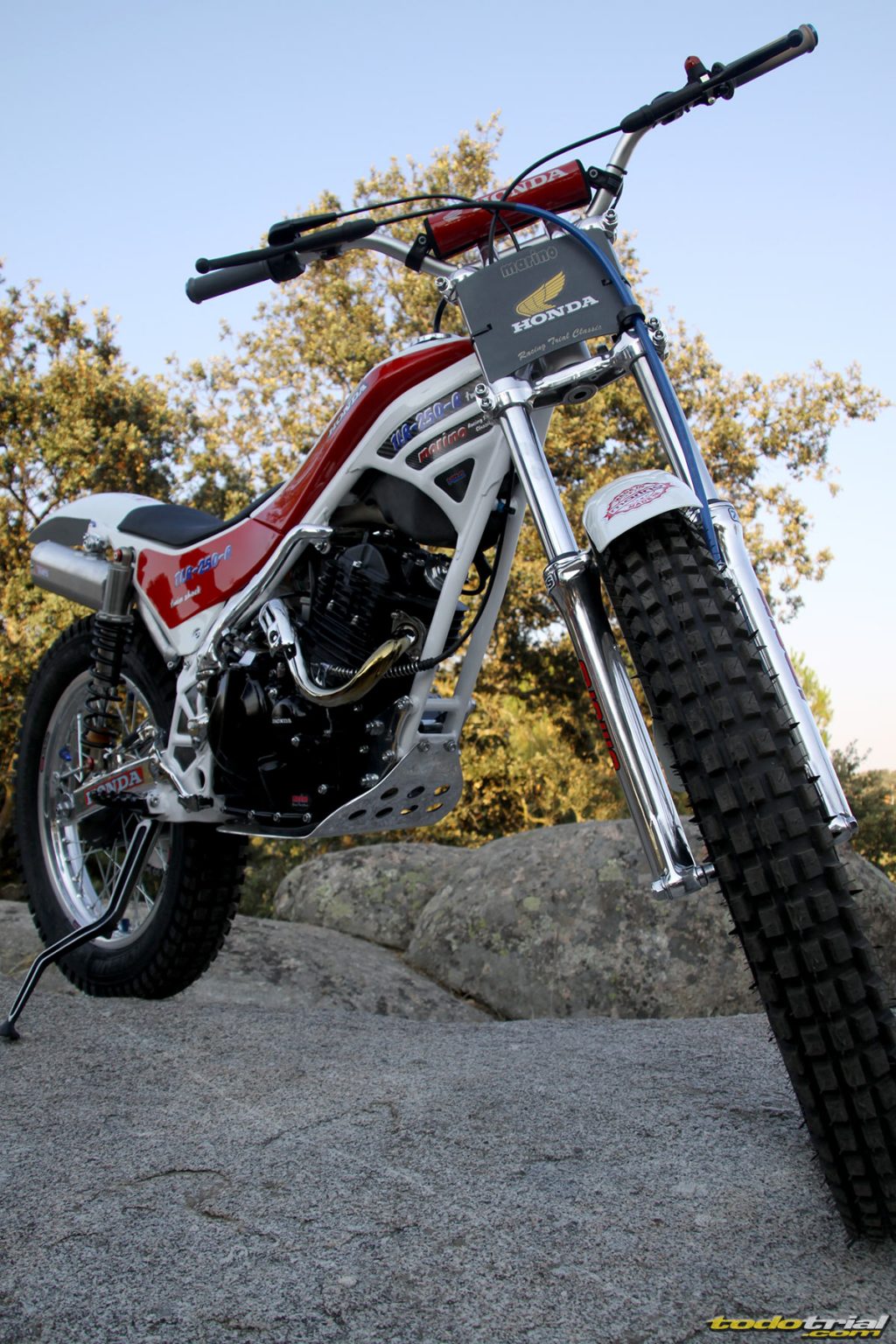 Preparación clásicas: Honda TLR 250R-G 1986 de Marino Racing